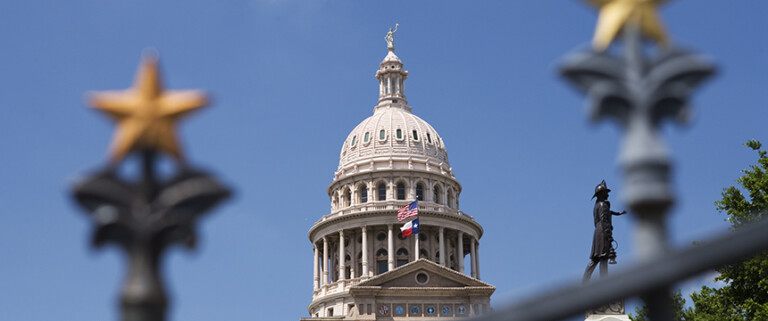 Rooted in Change: Texas Enacts the CROWN Act