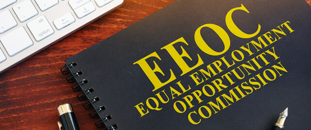 EEOC’s New Harassment Enforcement Guidelines: A Good Primer for ...