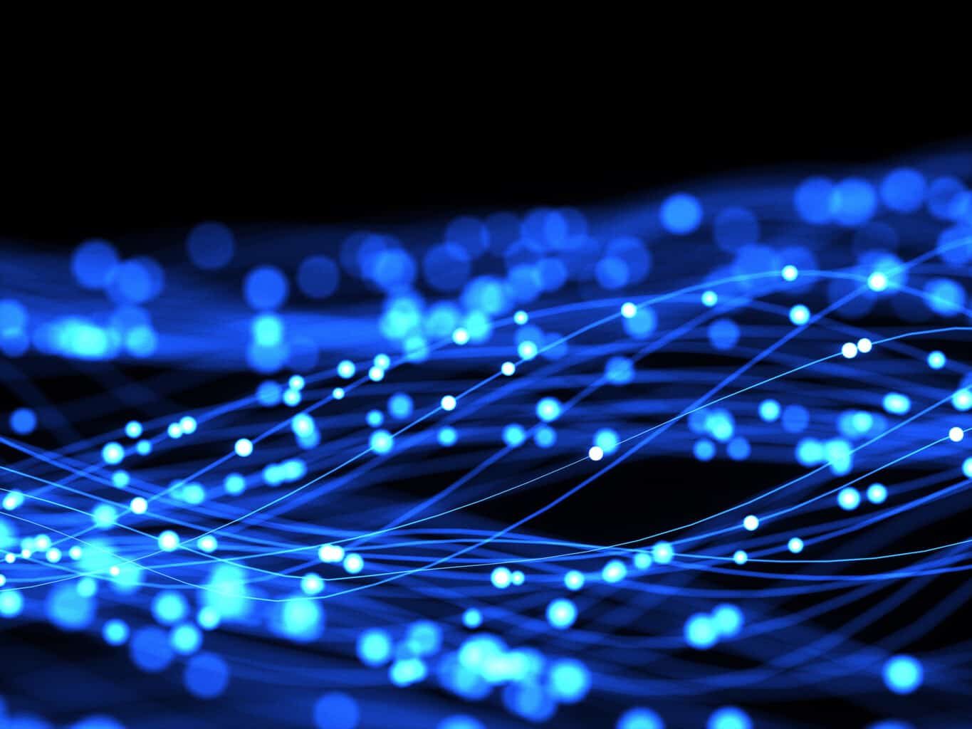 Breaking Down the October 2, 2025 NVCA Updates to the Model Legal ...