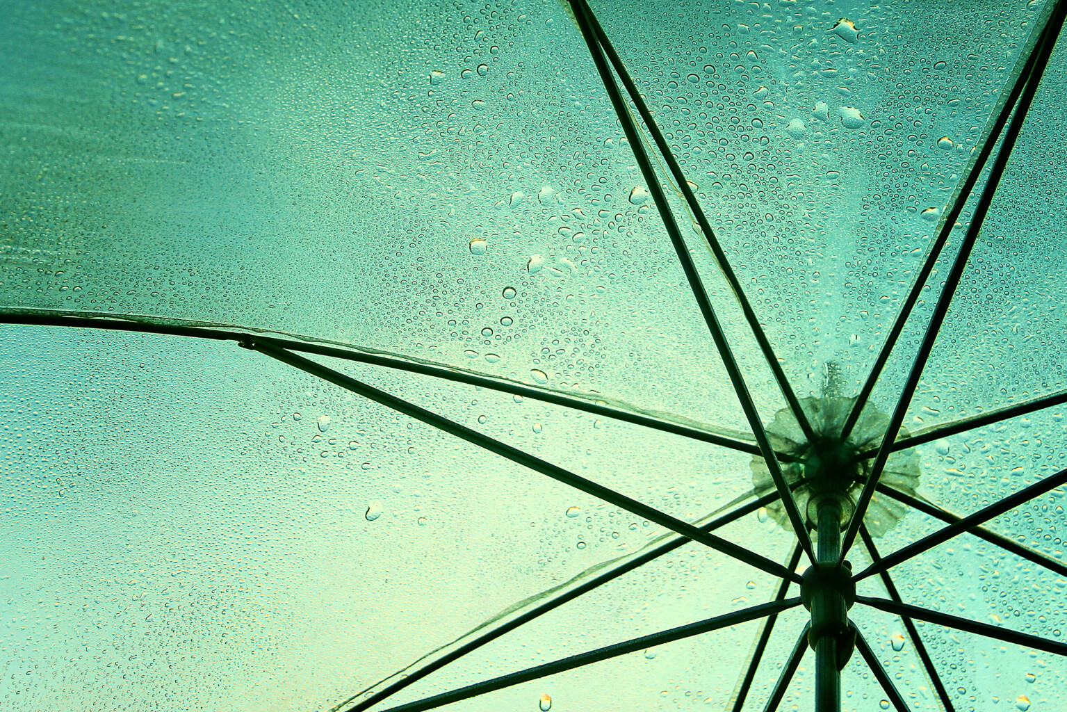 Insurance Practice Group | Foley & Lardner LLP