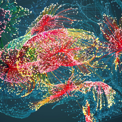 Foley & Lardner LLP - Law Firm